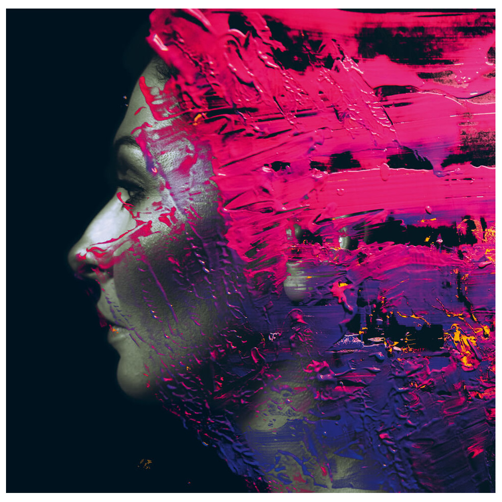 Steven WILSON - HAND. CANNOT. ERASE. (2 LP)